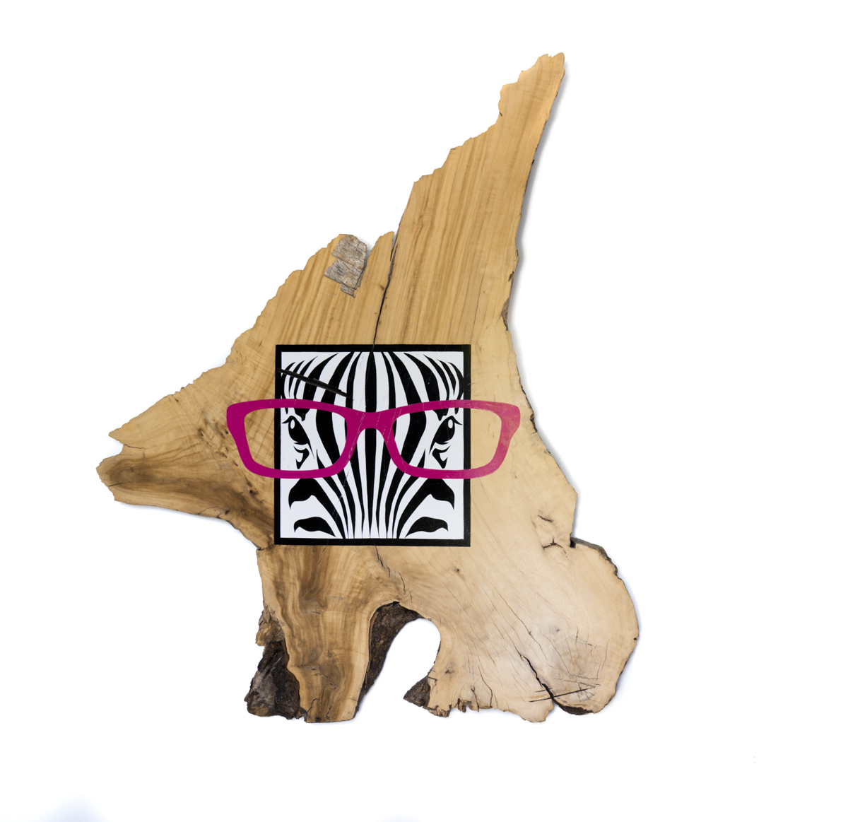 Optikus – Your family's eye care and eye wear destination